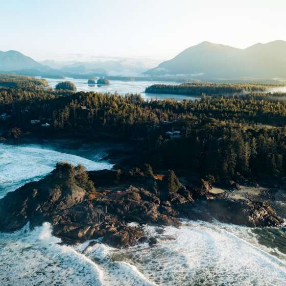 Tacofino - Better than Baja